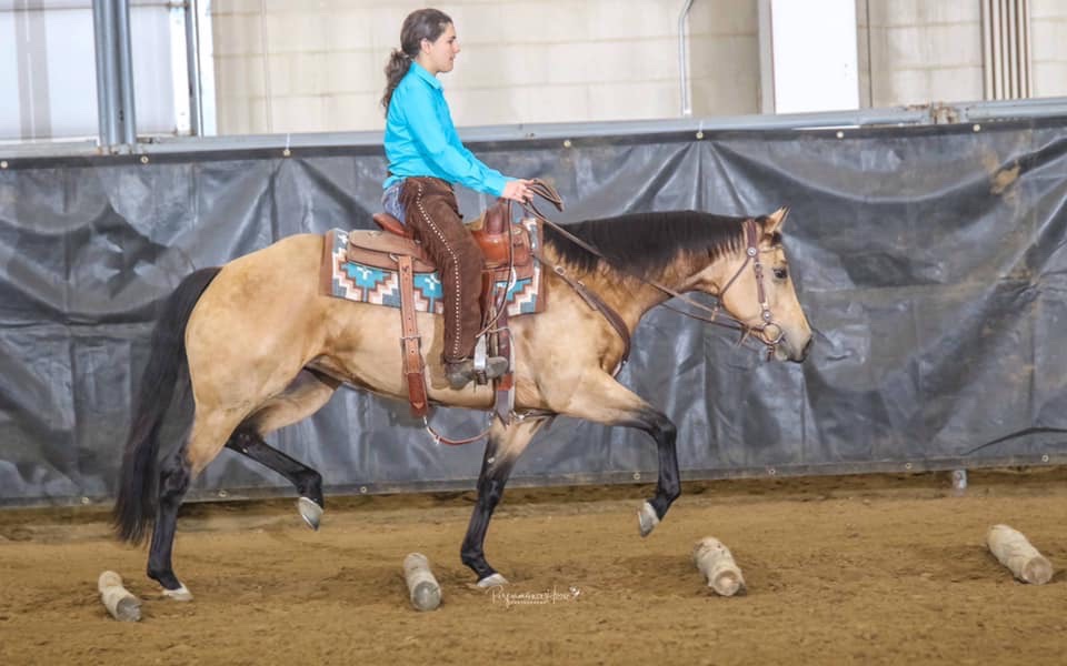 About – Rein It In